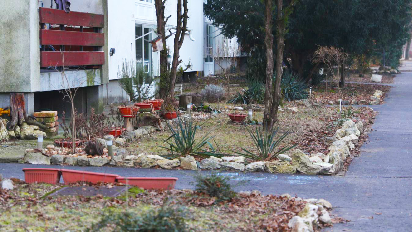 Januárban is dekoratív - Tulipgarden Cafe